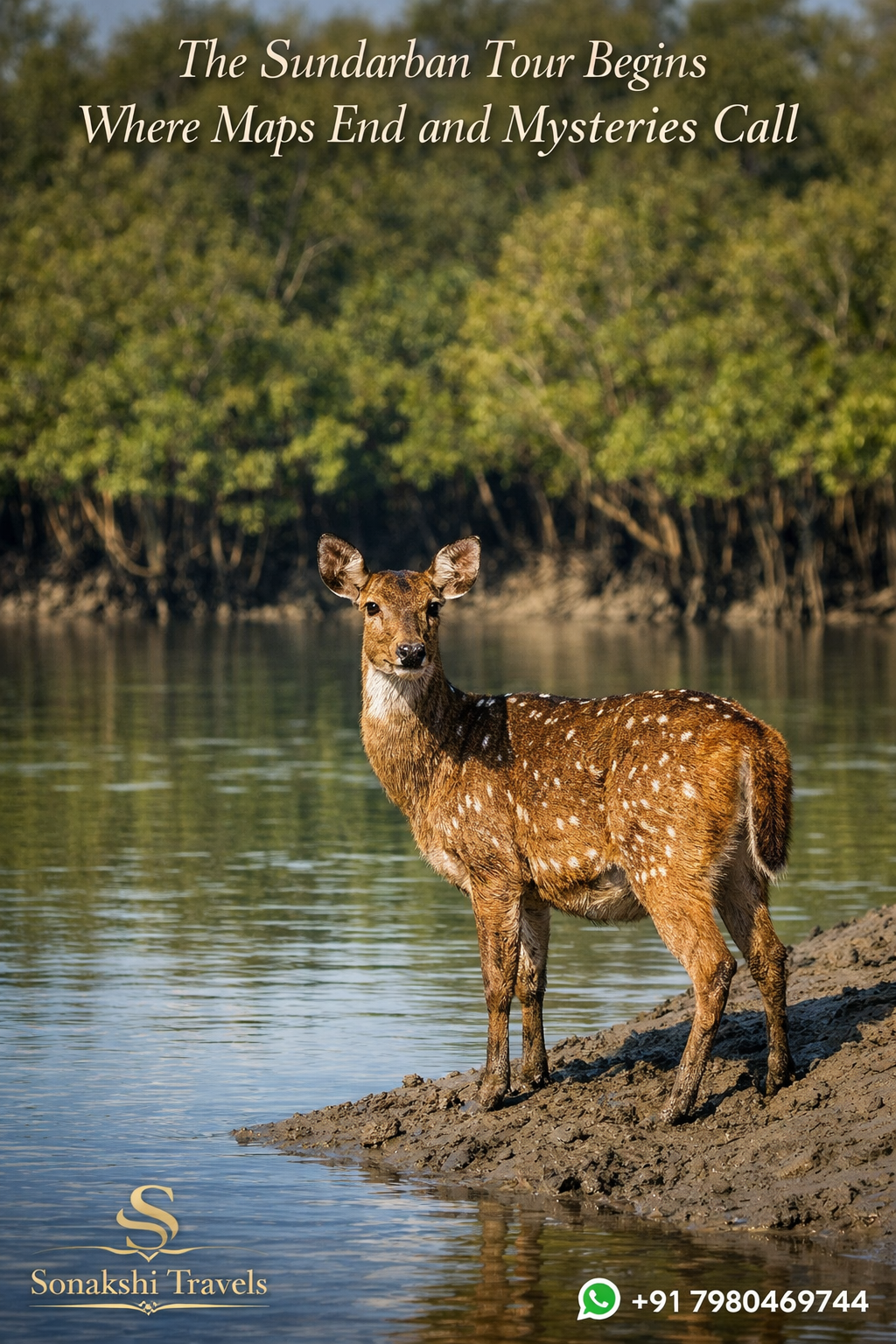 Sundarban Tour Where Maps End and Mysteries Begin